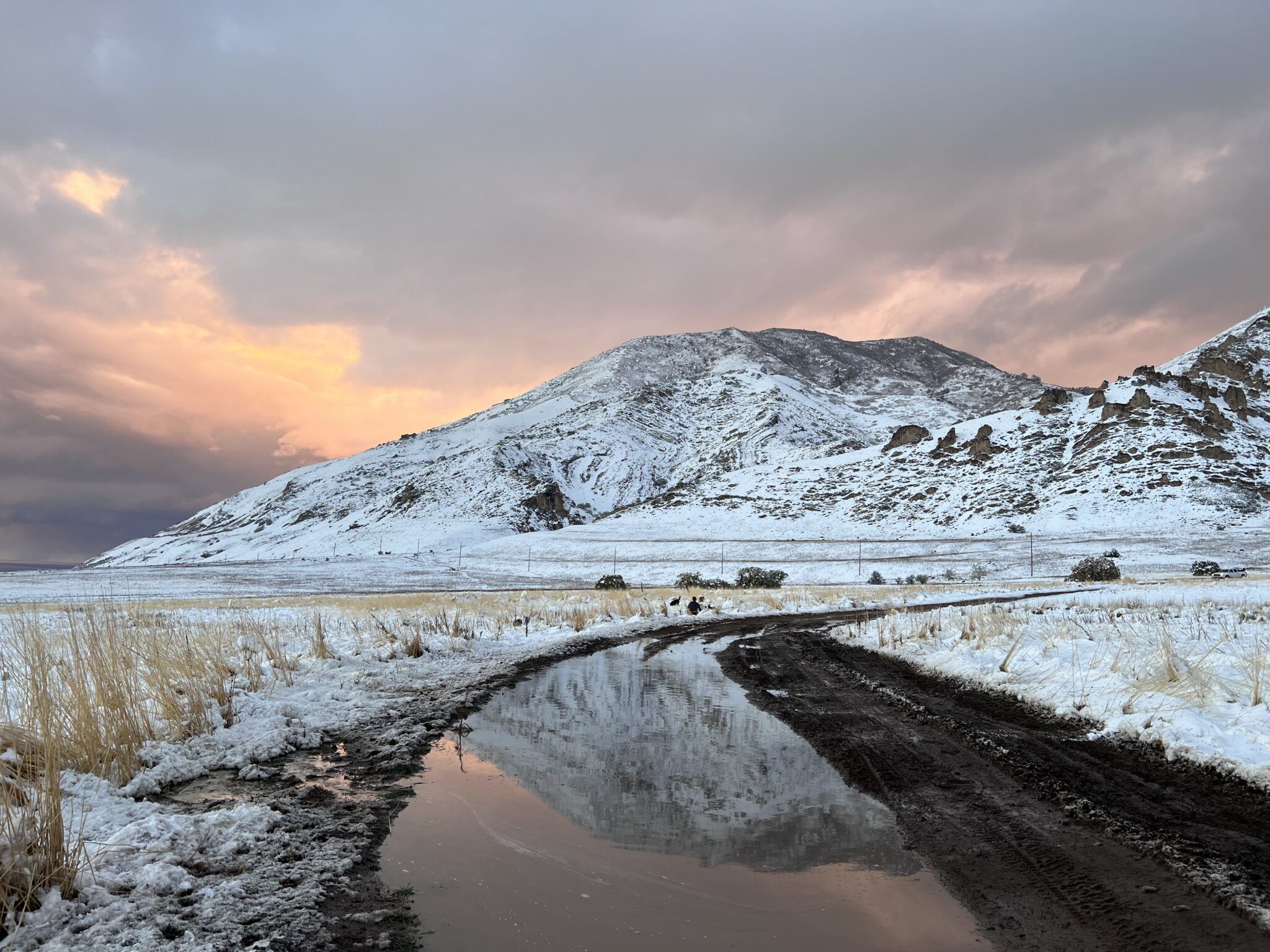 The Evolution Of Rehabilitation Services: From Institutions To ...